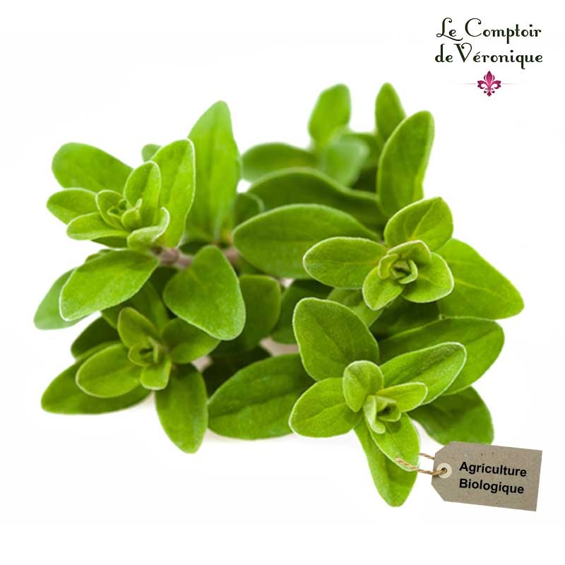 Marjolaine fleurs et feuilles Bio
